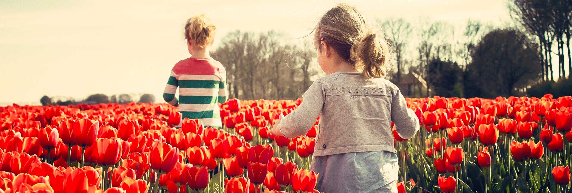 TOTALVİT JUNIOR SYRUP | Total Pharma İlaç Sanayi